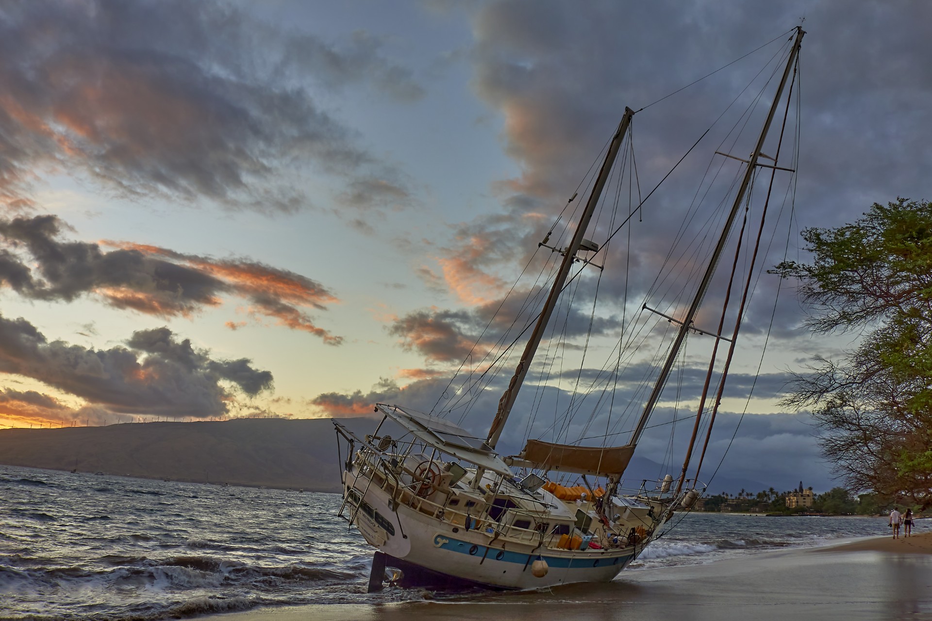 Photo of the day: ‘Let’s trade places’ | News, Sports, Jobs - Maui News